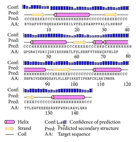 Multiple Sequence Alignment And Secondary Structure Prediction Of
