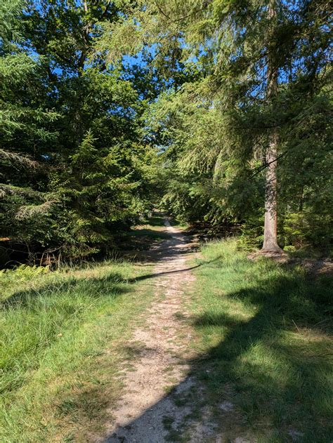 30000 Foto Intipcewemandi Terbaik · Unduh Gratis 100 · Foto Stok