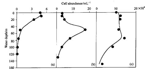 Three Typical Vertical Distribution Patterns Of Prochlorococcus In The Download Scientific