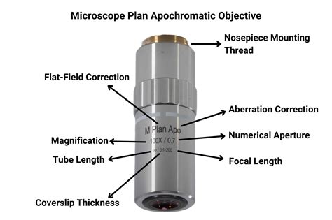 Objective Lenses Designing And Assembling For Microscopes Avantier Inc