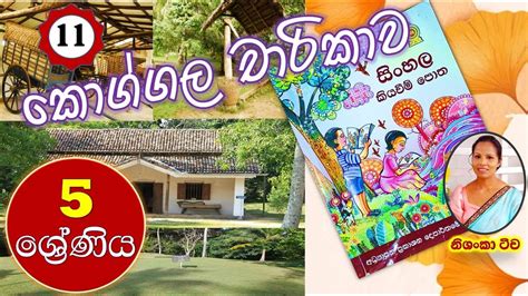 5 ශ්‍රේණිය සිංහල කියවීම් පොත කොග්ගල චාරිකාව Grade 5 Sinhala Textbook Lesson 11 Youtube