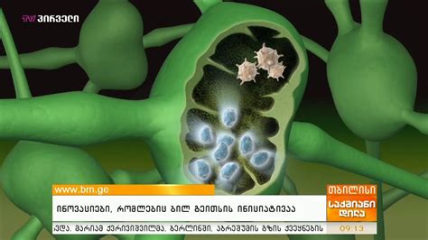 ინოვაციები რომლებიც ბილ გეითსის ინიციატივაა Youtube