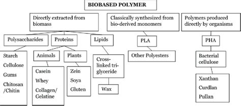 Overview Of Bio Based Polymers Edited From [30] Download Scientific