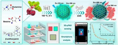Sustainable Red Beetroot Derived Synthesis Of N Doped Carbon Dots For Ratiometric Detection Of