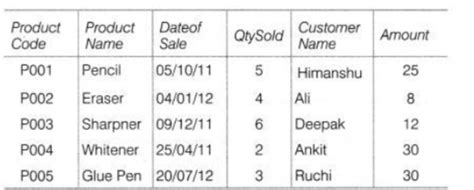 Ncert Solutions Class 10 Computers Microsoft Access