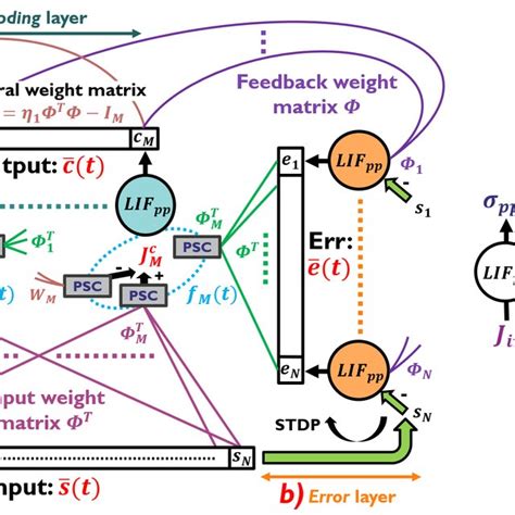 Snn Stdp Architecture A The Coding Layer Features I 1 M Pairs