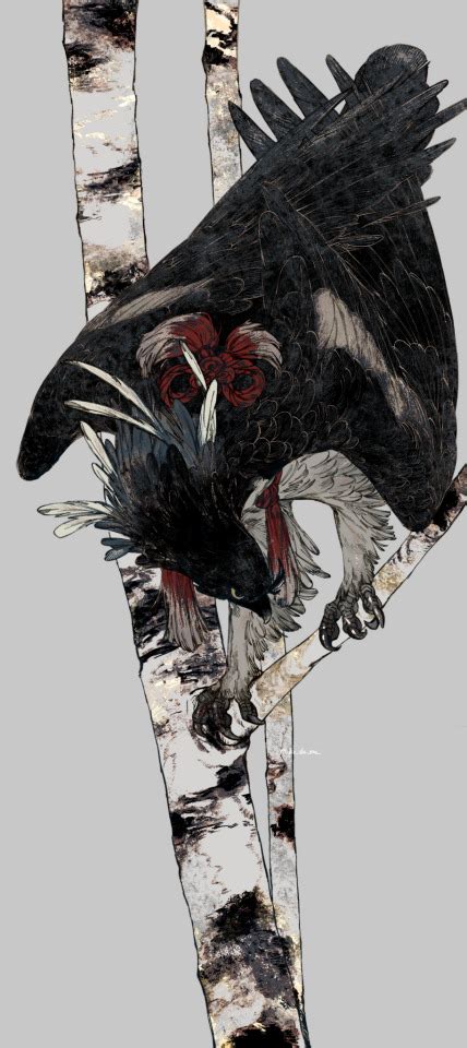 Kedamakedama Feykiller A Witch Bird Tumbex