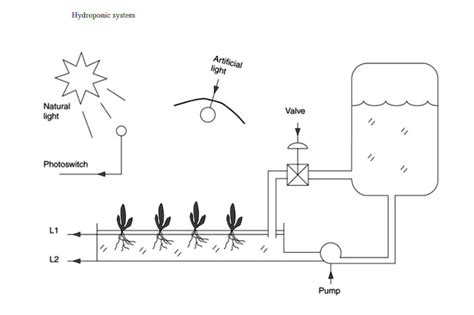 Solved Text For This Hydroponic System Specify The Input Allocation