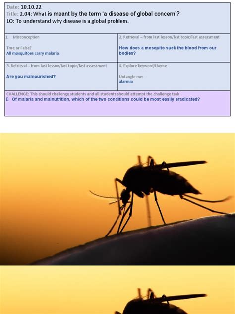 pdf document pdf