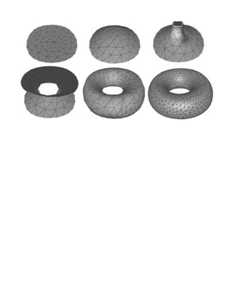Open Access Free Form Shape Design Using Triangulated Surfaces 1994 William Welch 351