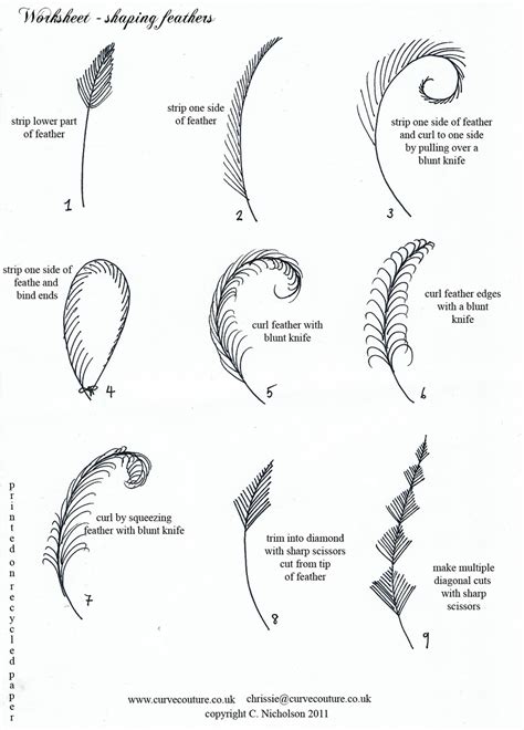 Chrissie Nicholson Wild Corset Makers Diary Fascinating Feathers