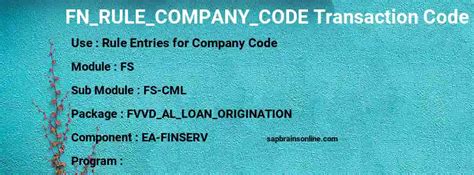 FN RULE COMPANY CODE SAP Tcode For Rule Entries For Company Code