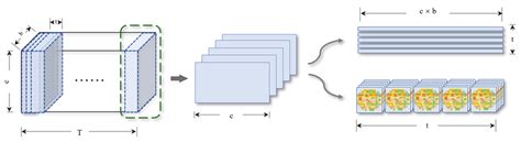 Spatial Feature And Electrode Position A 62 Electrodes In Download Scientific Diagram