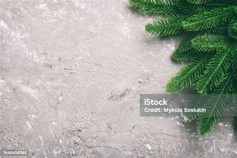 광고 텍스트에 대한 복사 공간이있는 크리스마스 휴가 배경 색상 배경에 전나무 가지 플랫 레이 상단 보기 0명에 대한 스톡 사진 및 기타 이미지 Istock