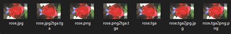 tga files are shown mirrored after editing with convert exe or magick