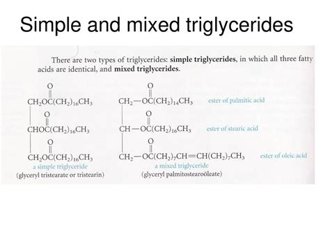Simple Triglyceride