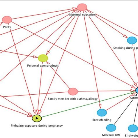 directed acyclic graph dag for evaluation of covariates in the