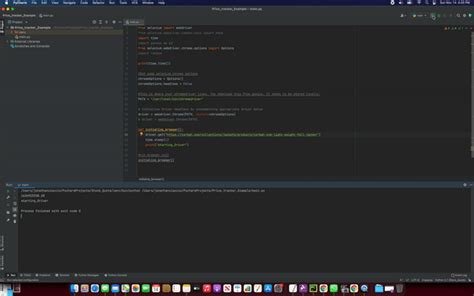 how can i make my own price tracker with python and selenium