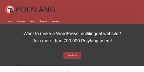 Polylang For Woocommerce Pluginizer