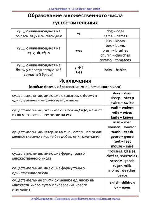 Картинки Множественное Число Существительных В Английском Языке — Фото Картинки