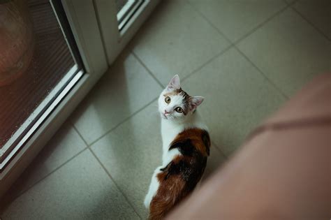 I Love To Capture Life With Natural Light Minutes With Andre Josselin Nsfw C Heads