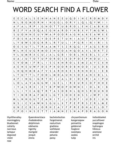 Word Search Find A Flower Wordmint