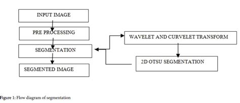 a hybrid fast woc wavelet otsu curvelet algorithm for stem cell