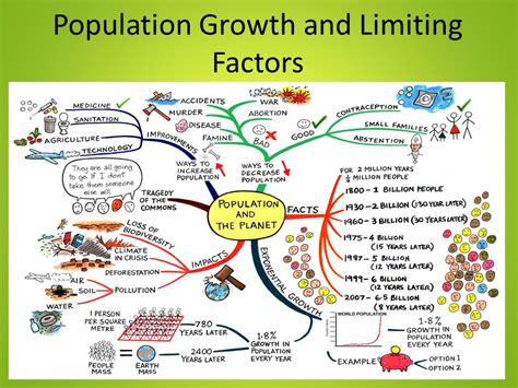 Limiting Factors In A Population