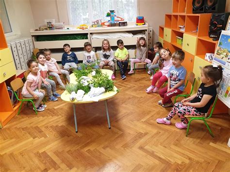 Екологичното възпитание в предучилищна възраст е своеобразен организиран процес на педагогическо