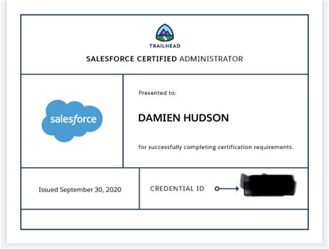 Damien Hudson On Linkedin Certification Certified Salesforce