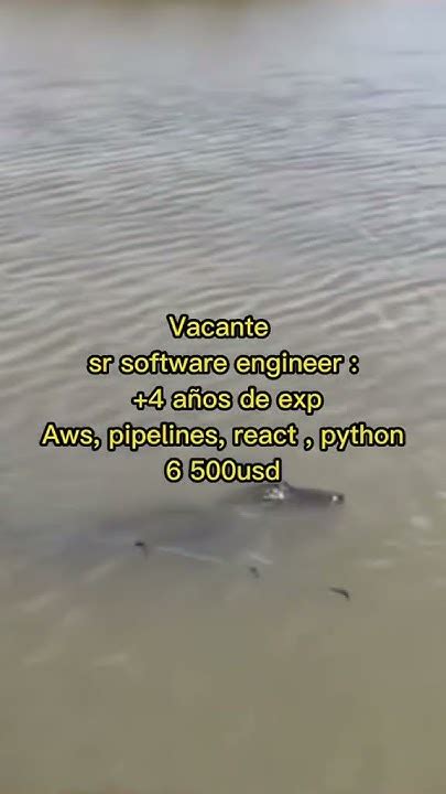 Shorts Devtokers Python Pamsho Programacion Ingenieria