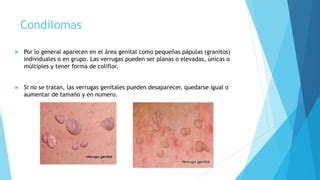 Qué Es El Vph Y Cuales Son Pptx