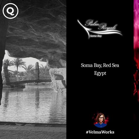 Quicktext On Linkedin Ai Bigdata Structureddata Velmaworks