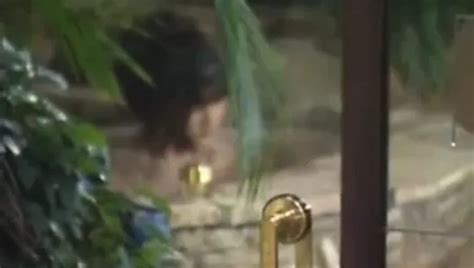 Cameo Xhamster