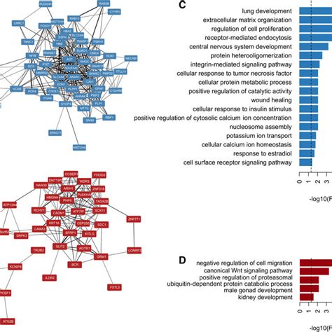 Functional Convergence Among Increased Genes In Neuronal Populations Of Download Scientific