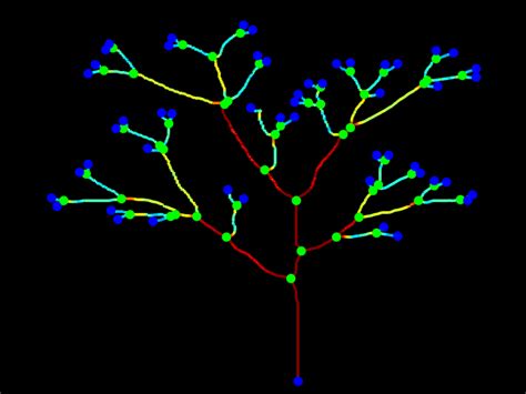 Illustration Of The Method On A Synthetic Tree Left And A Cropped
