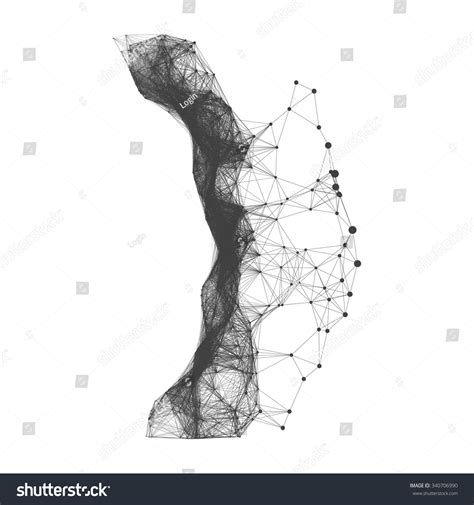 Connection Structure Wireframe Vector Illustration Stock Vector Royalty Free 340706990