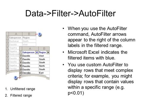 How Do I Add Multiple Values To A Custom Autofilter In Excel Design Talk
