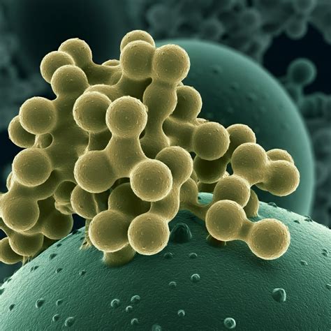 Tips For Thought The Science And Ethics Of Gene Editing Gene Editing