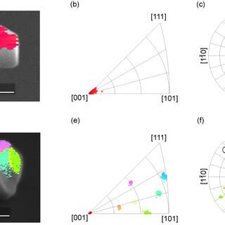 EBSD Analysis Of The Bi Modal Growth A EBSD Map Superimposed On The Download Scientific