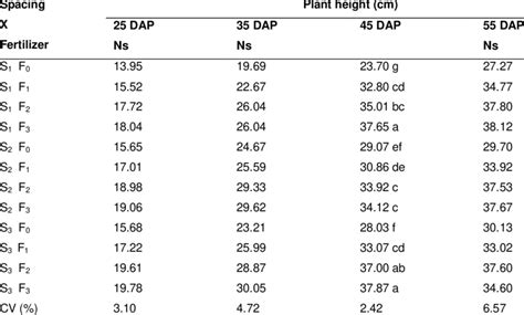 Interaction Effect Of Spacing And Fertilizer On Plant Height Of Late