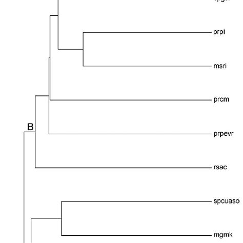 dendrogram jaccard index obtained from the cluster analysis of 238
