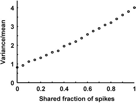Binary Spiking In Auditory Cortex Journal Of Neuroscience