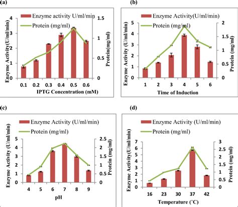 Optimization Factors Of Recombinant β Xylanase Enzyme Production A
