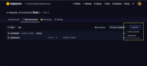 Host The Dataset In HuggingFace ChatG2IA Documentation