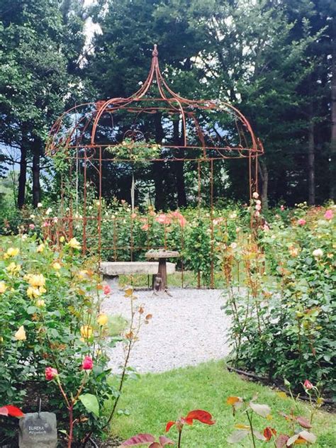 Au Diable Vert La Vie Arc En Ciel