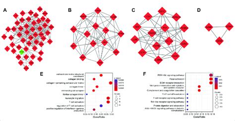 Ppi Network Highly Connected Subnetworks And Enrichment Analyses Of