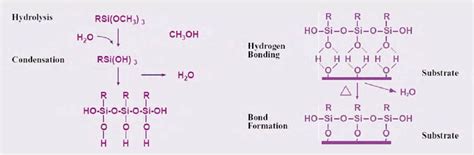 Organo Functional Silane Hydrolysis Condensation And Covalent Bonding