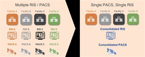 Dealing With Multiple Terminology Domains In A Consolidated Enterprise