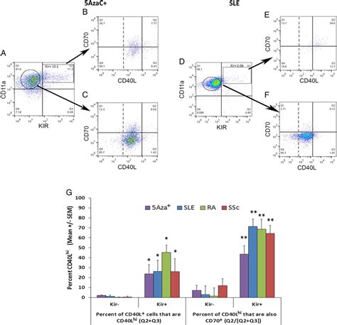 Cd70 Cd40l Coexpression On Kir Versus Kir − Cd4 Cd28 T Cells The Download Scientific